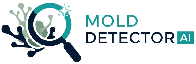 What Does Black Mold Look Like? A Homeowner's Guide with Pictures ...